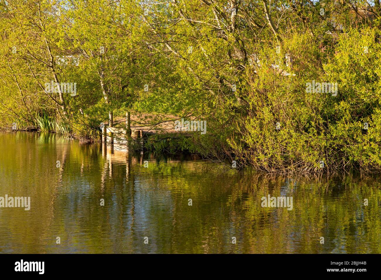 Buckley north wales hi-res stock photography and images - Alamy