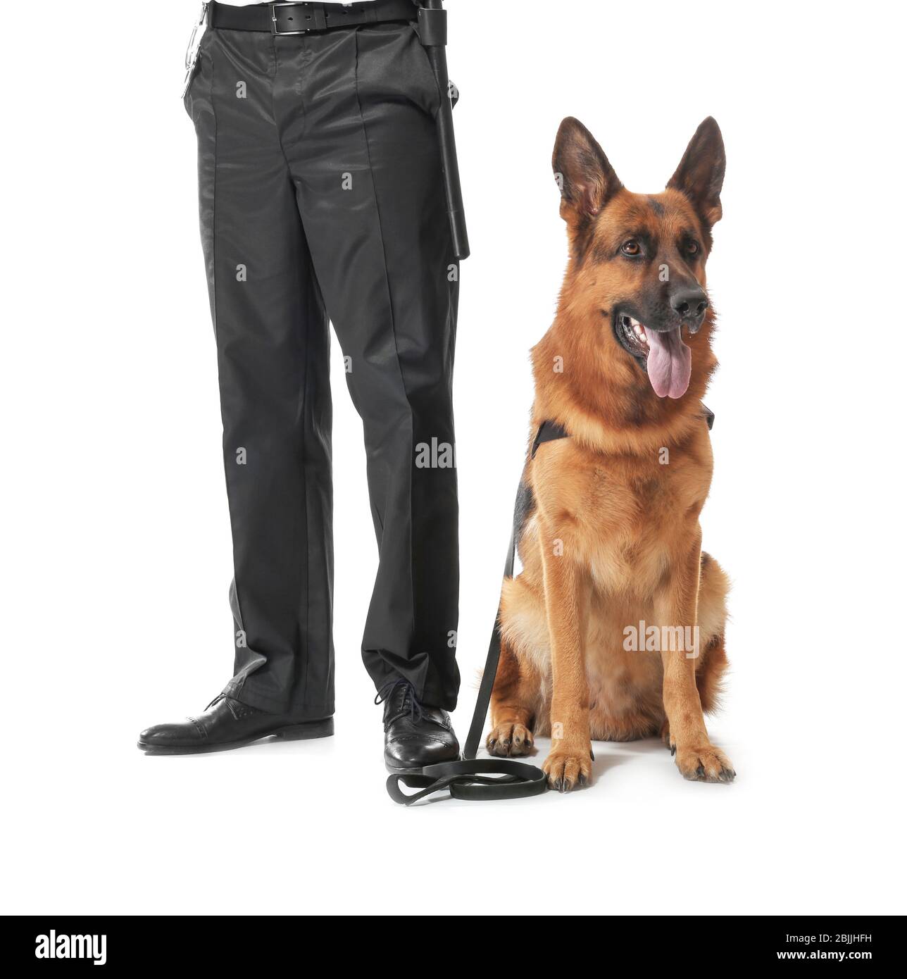 Man guard dog dog Cut Out Stock Images & Pictures - Alamy