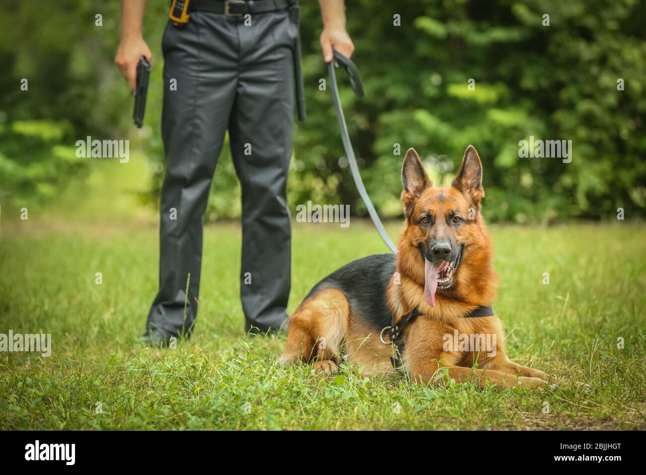 Security guard with dog in park Stock Photo - Alamy