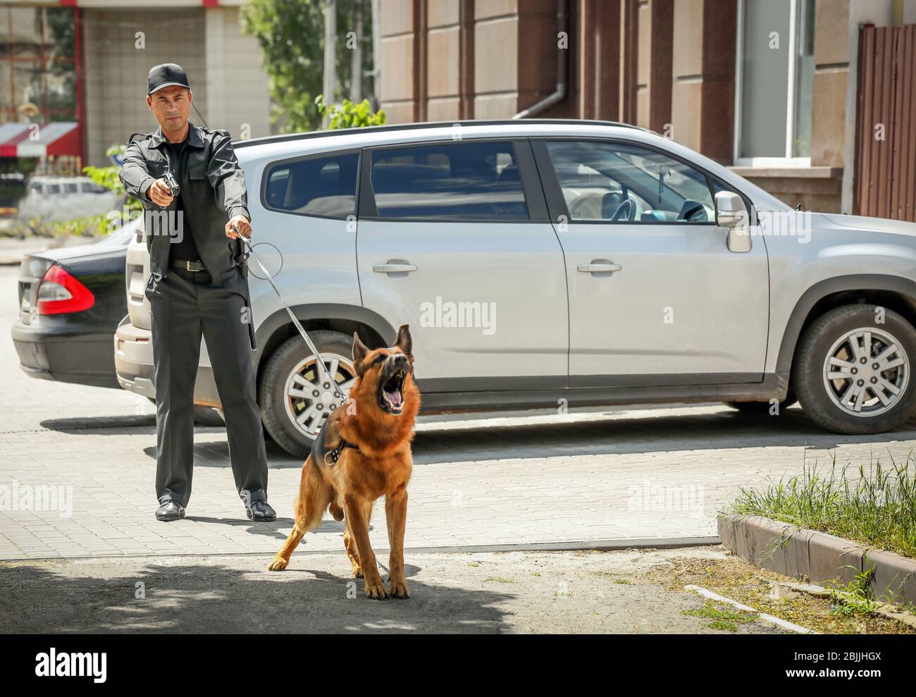 Security guard with dog, outdoors Stock Photo - Alamy