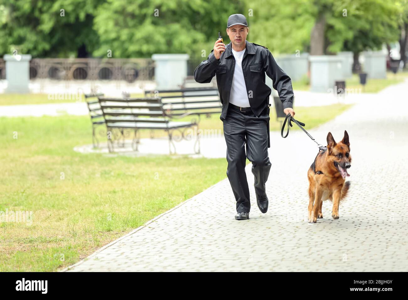 Security guard with dog in park Stock Photo - Alamy