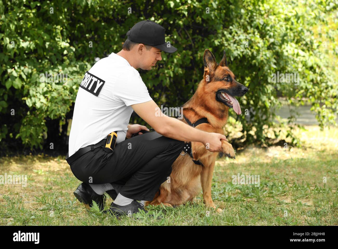 Security guard with dog in park Stock Photo - Alamy