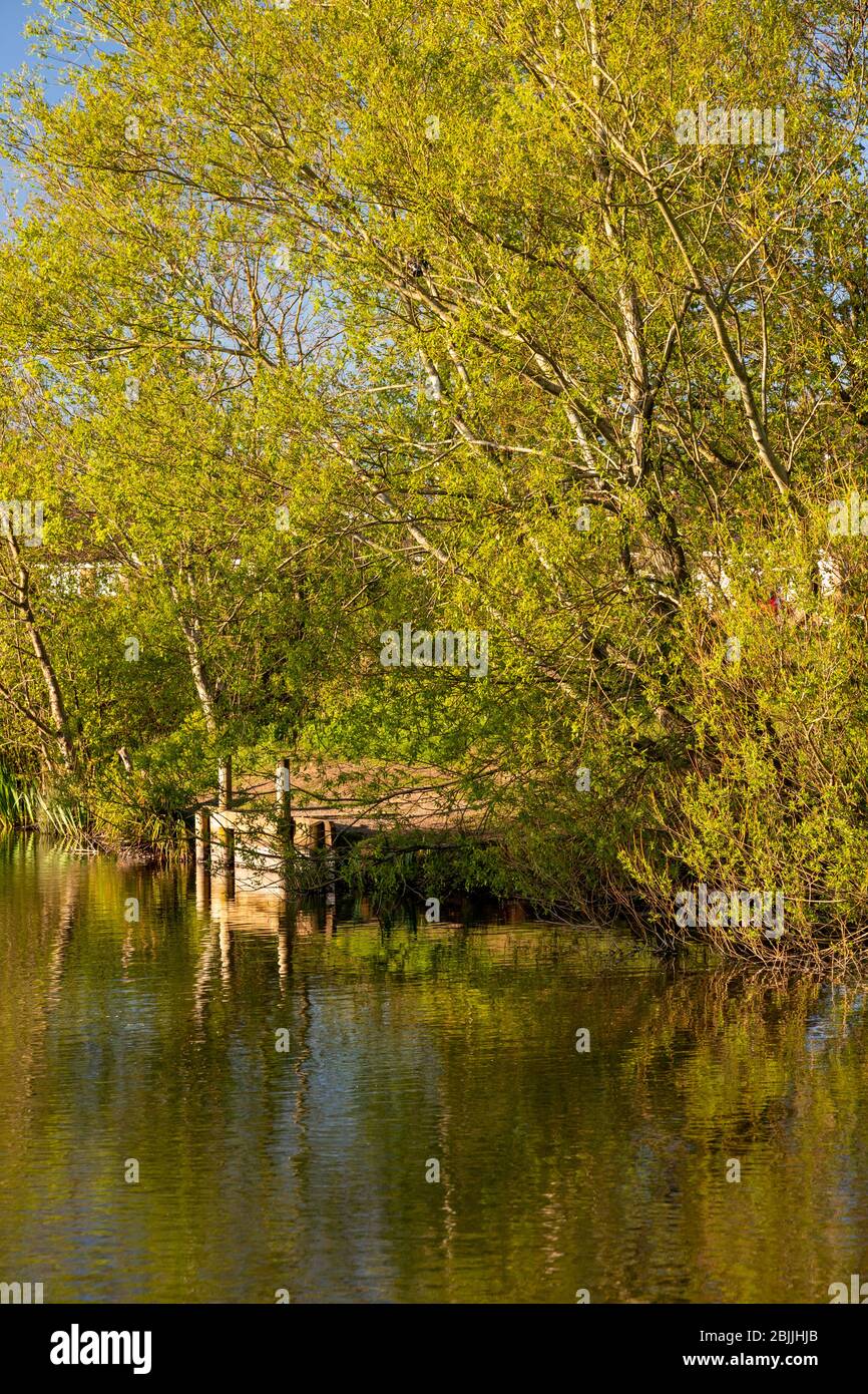 Lake and trees at Buckley Common, Flintshire, North Wales Stock Photo ...
