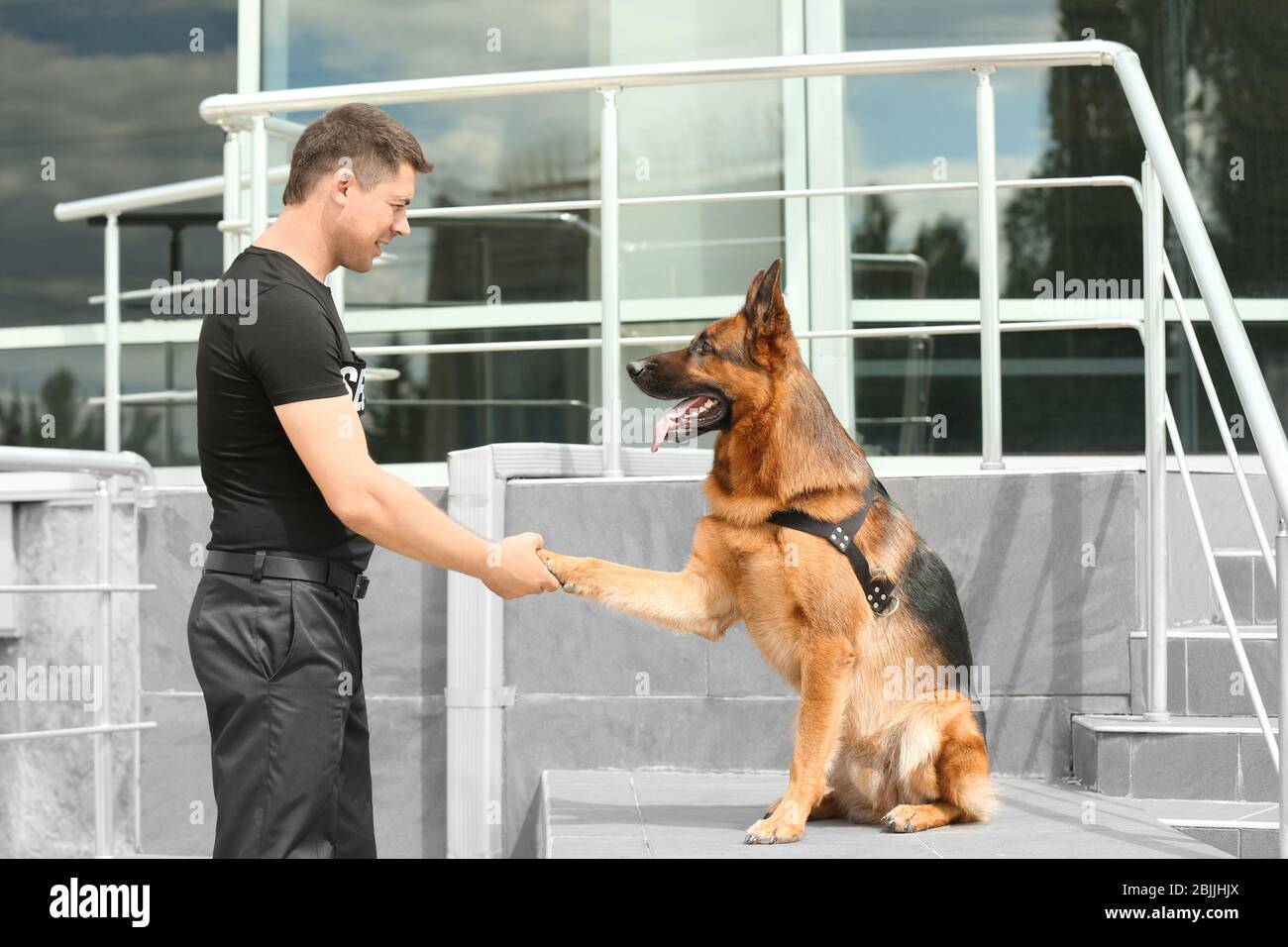 Security guard with dog near building Stock Photo - Alamy