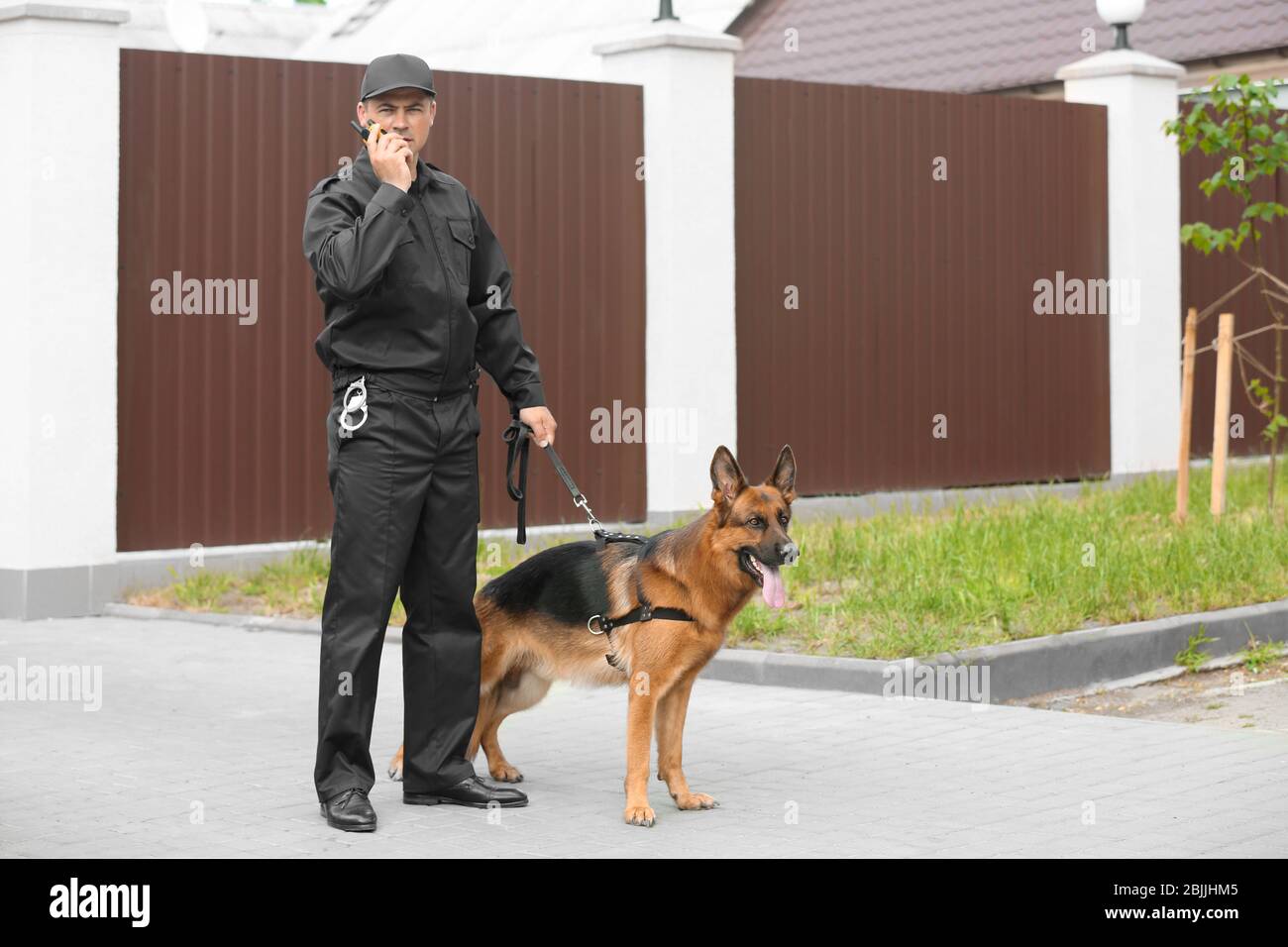 Security guard with dog, outdoors Stock Photo - Alamy