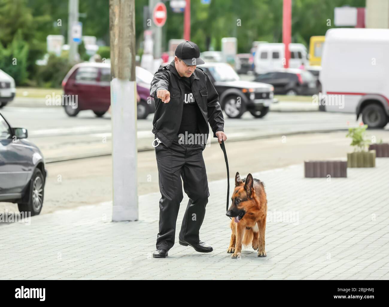 Security guard with dog, outdoors Stock Photo - Alamy