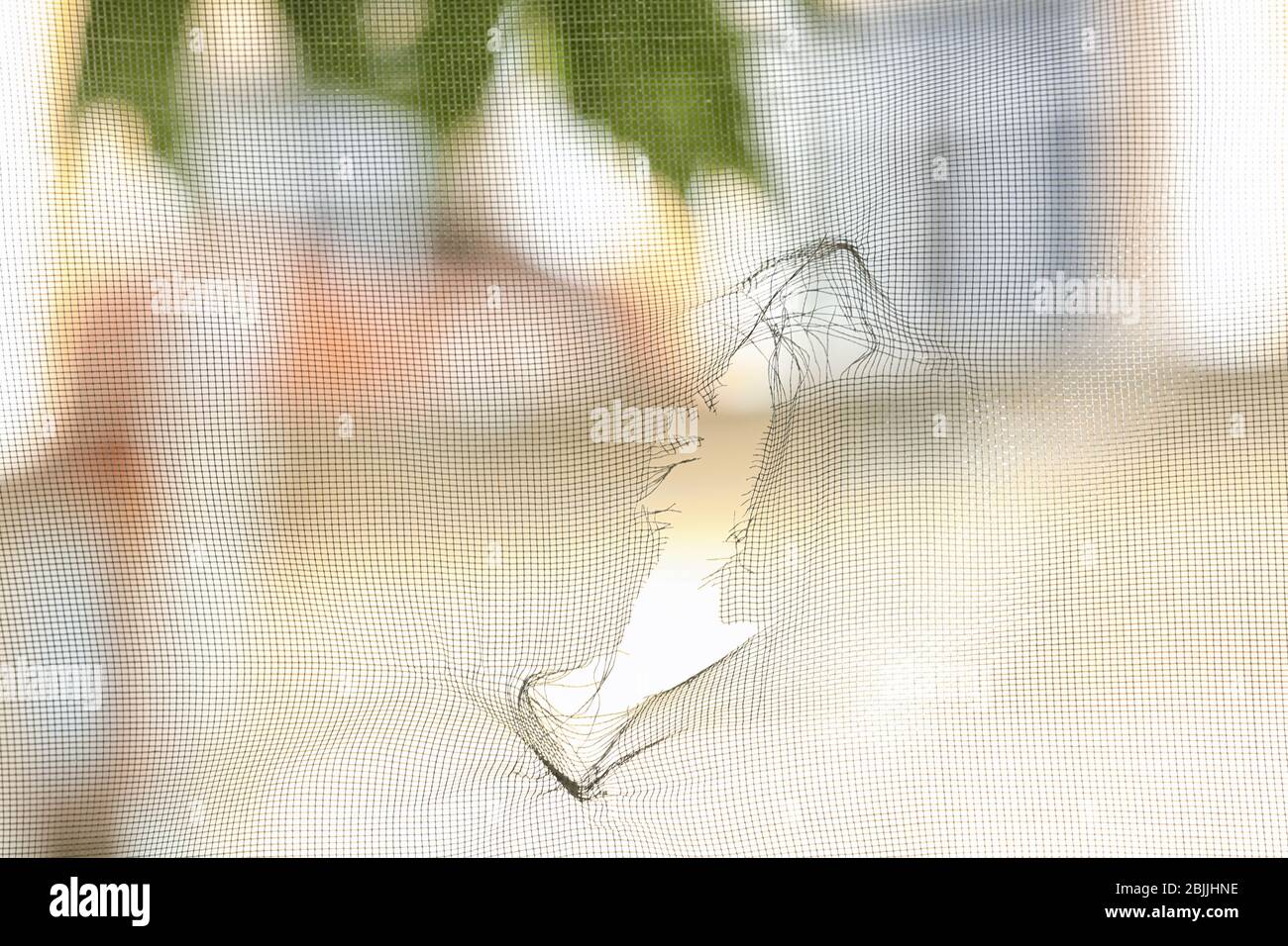 Ripped window screen hi-res stock photography and images - Alamy