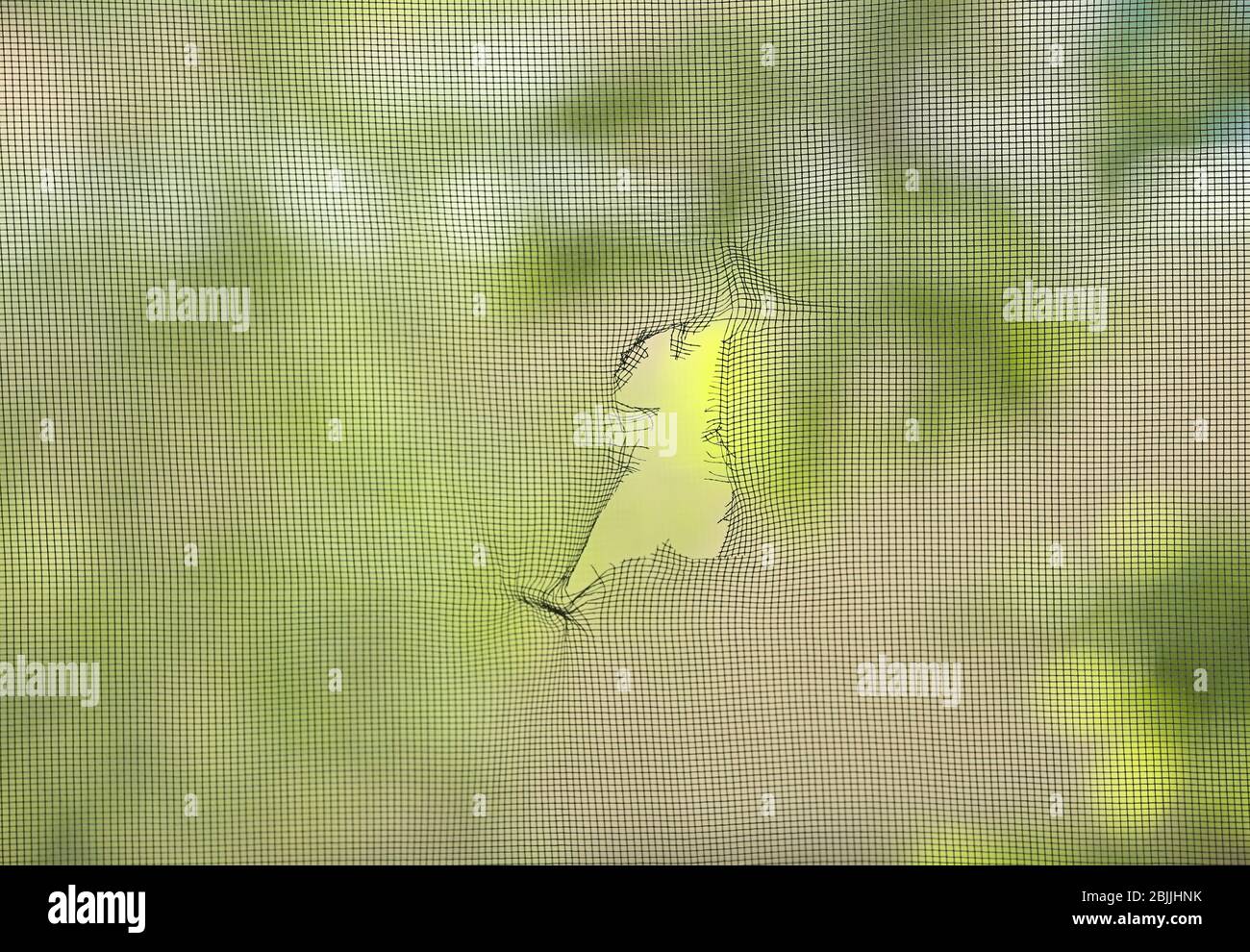 Torn window screen, closeup Stock Photo - Alamy