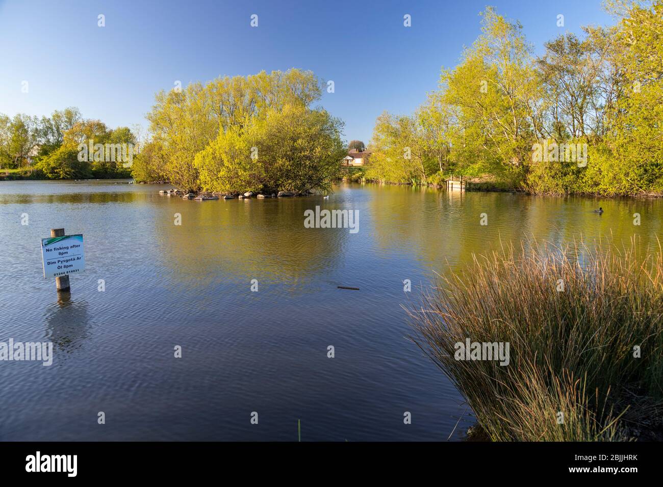 Lake and trees at Buckley Common, Flintshire, North Wales Stock Photo ...