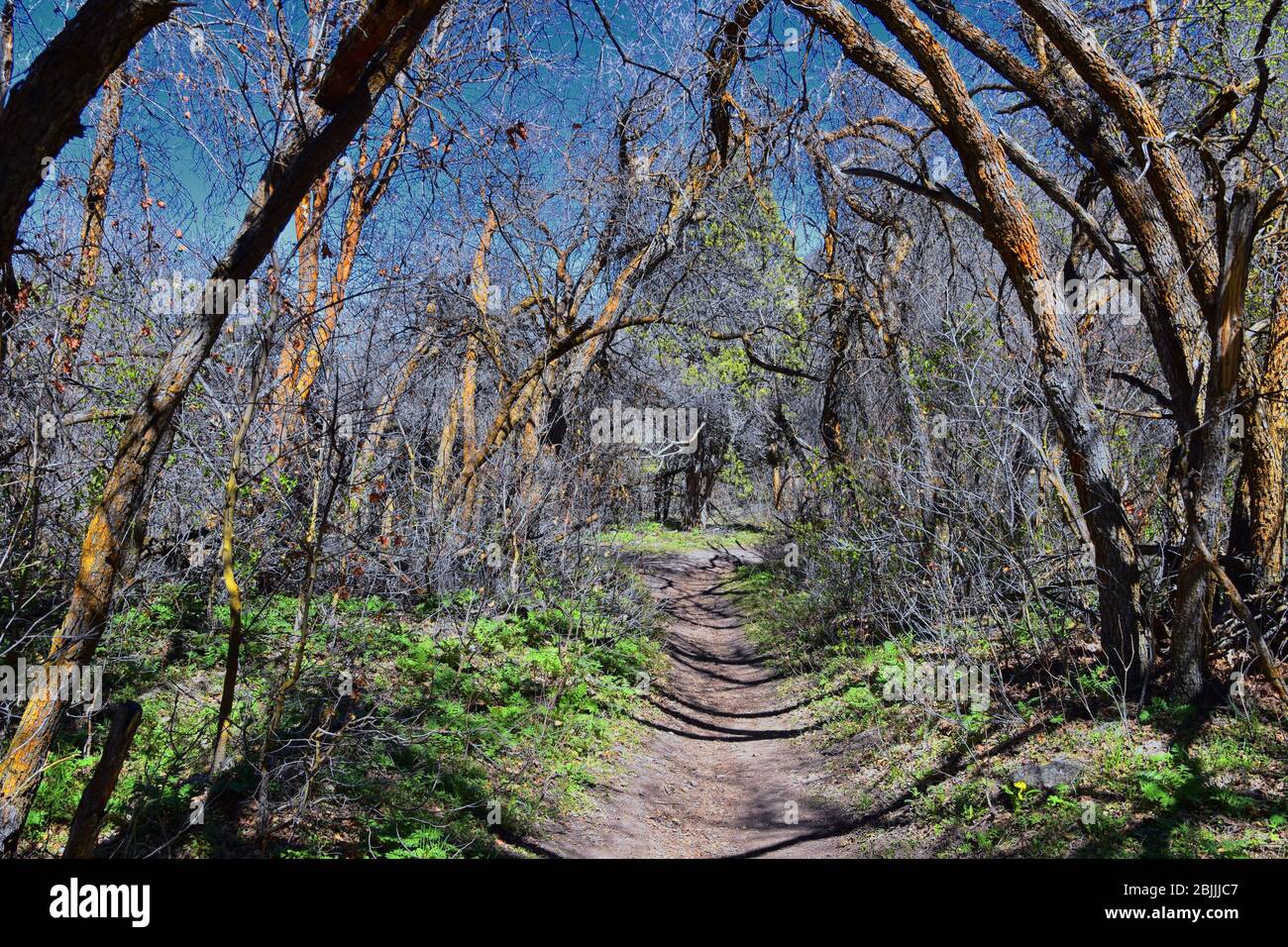 Hiking Trails in Oquirrh, Wasatch, Rocky Mountains in Utah early spring ...
