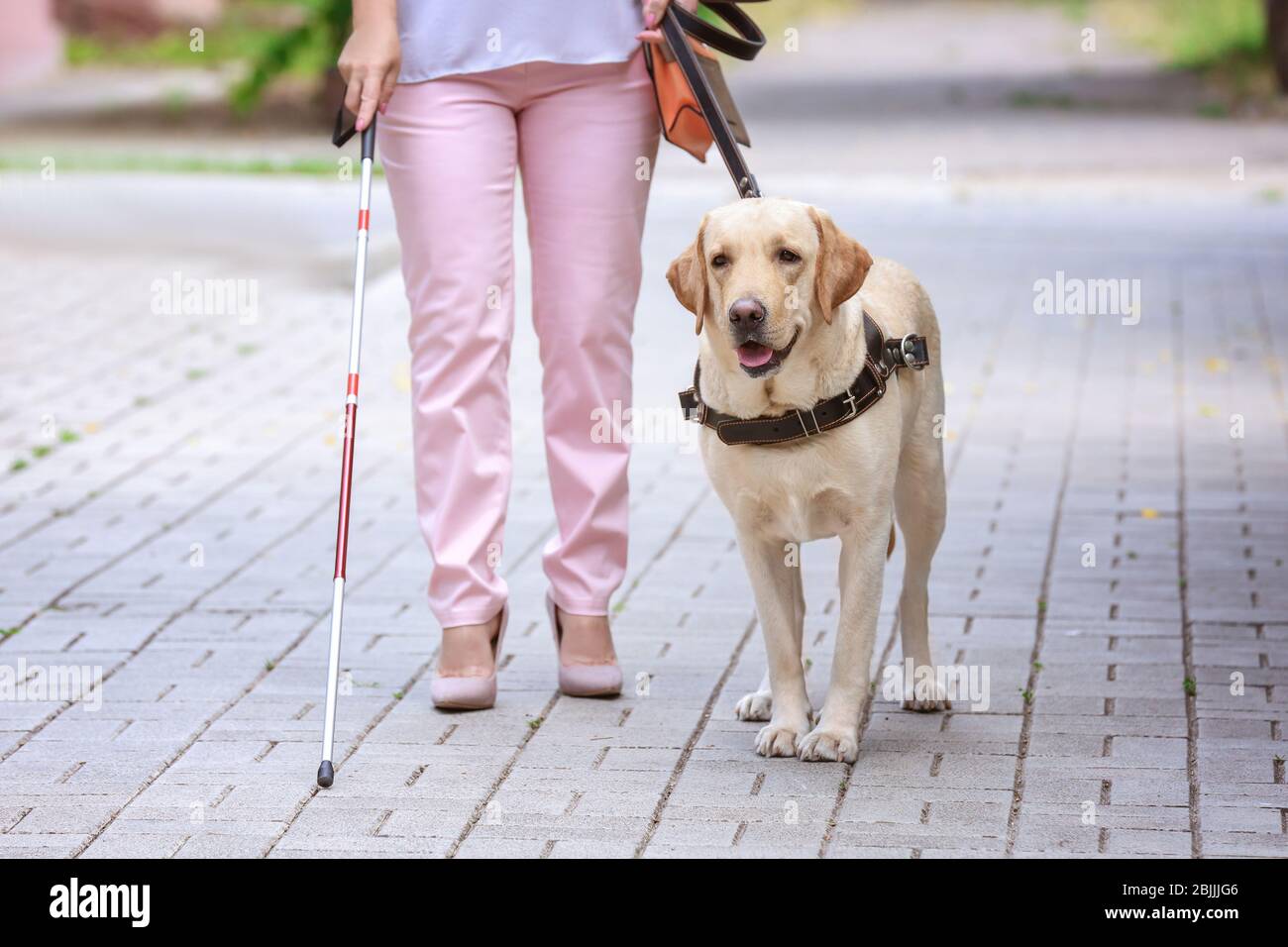 Helping blind person hi-res stock photography and images - Alamy
