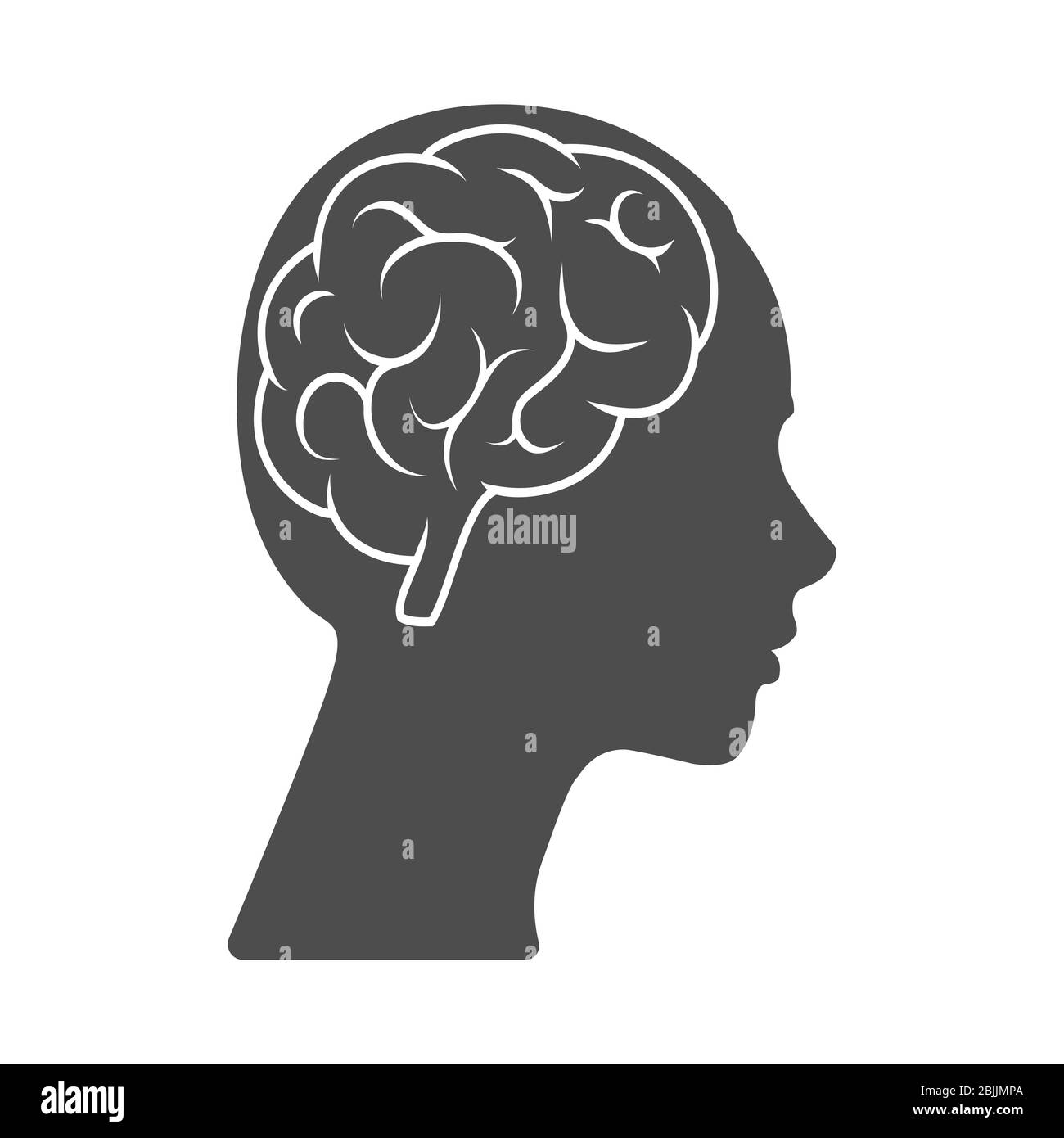 Vector icon of a female head with a brain. The silhouette is isolated ...