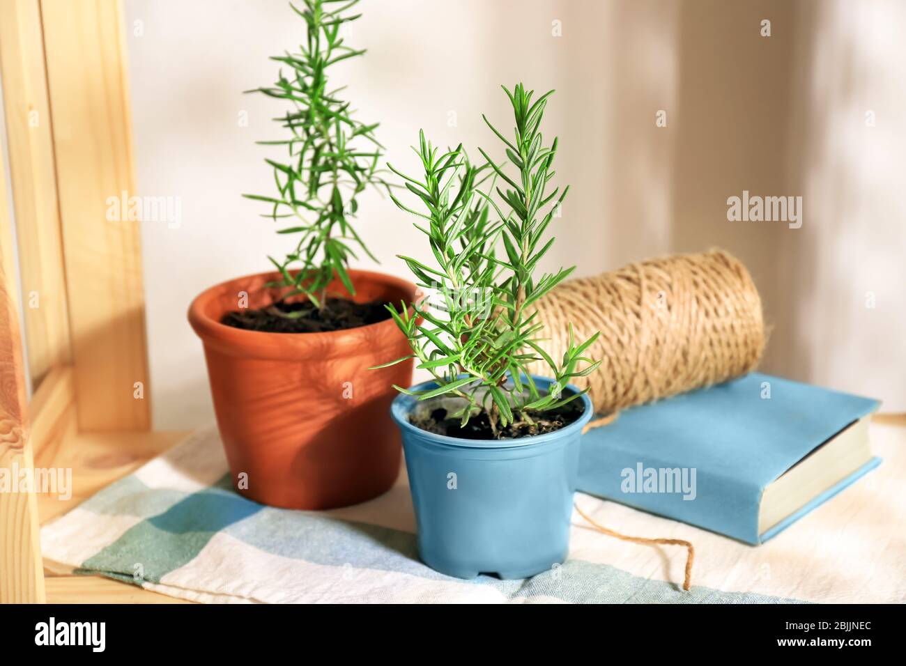 Gardening book pots hi-res stock photography and images - Alamy