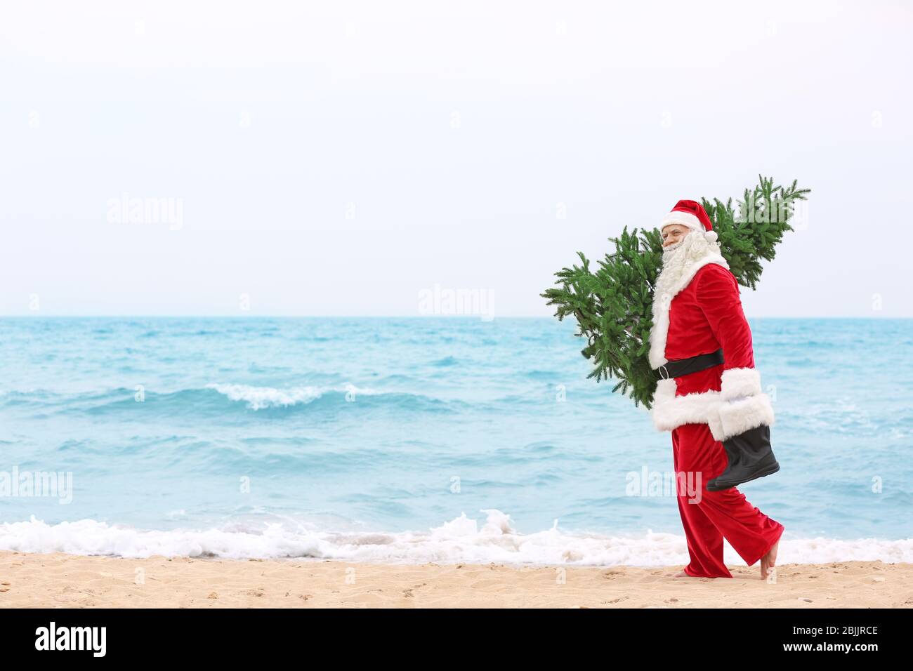 Authentic Santa Claus with Christmas tree on beach Stock Photo - Alamy