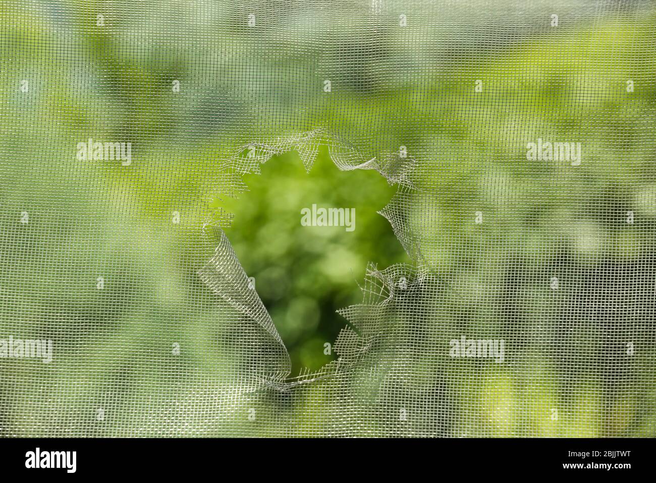 Mosquito screen with hole, close up Stock Photo - Alamy