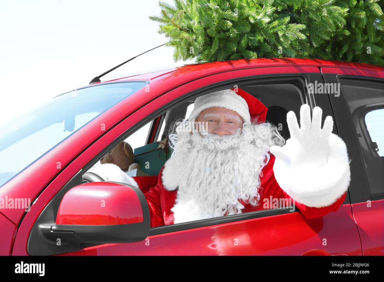 Authentic Santa Claus driving car with Christmas tree on top Stock ...