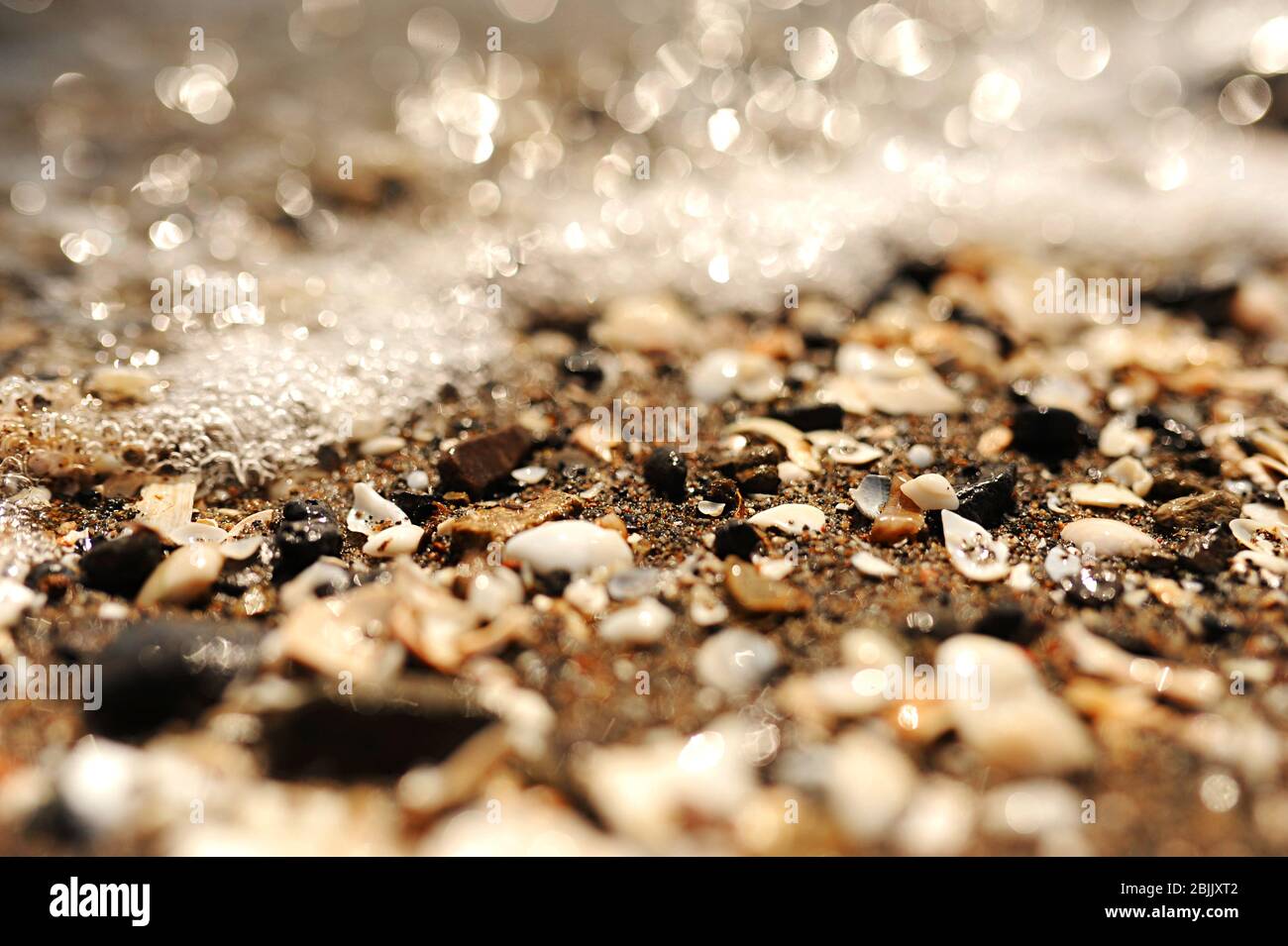 Sea sand beach with small white shells and stones in the sun and bokeh ...