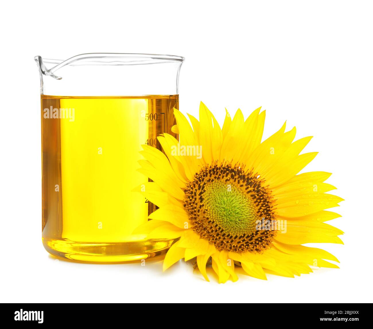Beaker with cooking oil and sunflower on white background Stock Photo ...