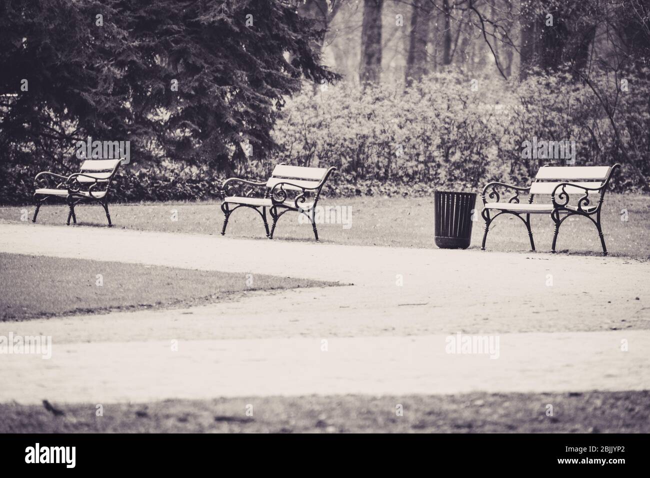Benches in park - sepia photograph Stock Photo - Alamy