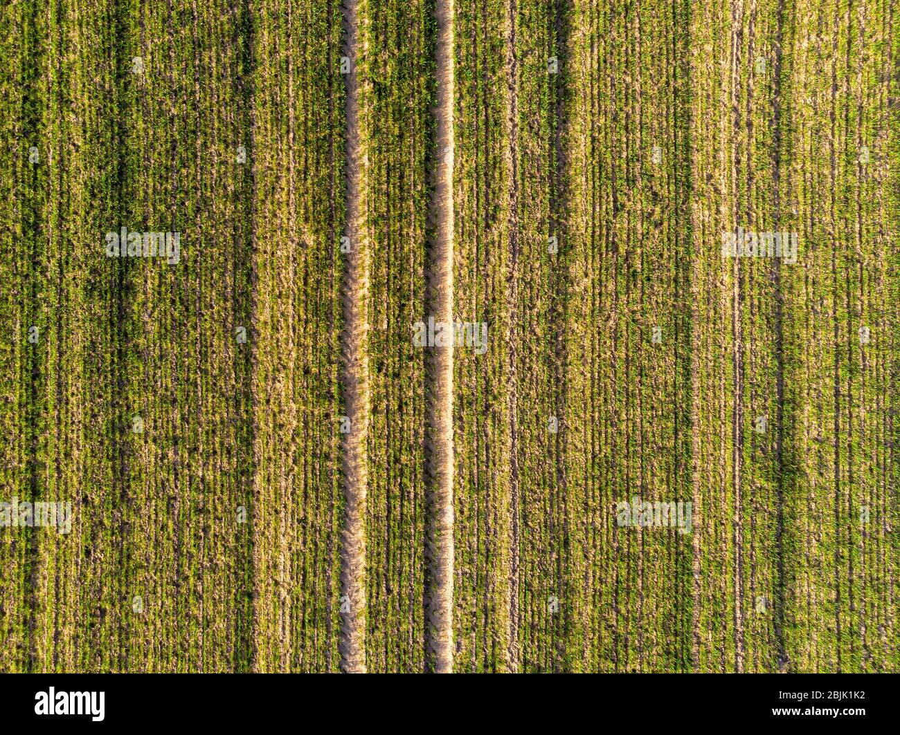 Seeding season hi-res stock photography and images - Alamy