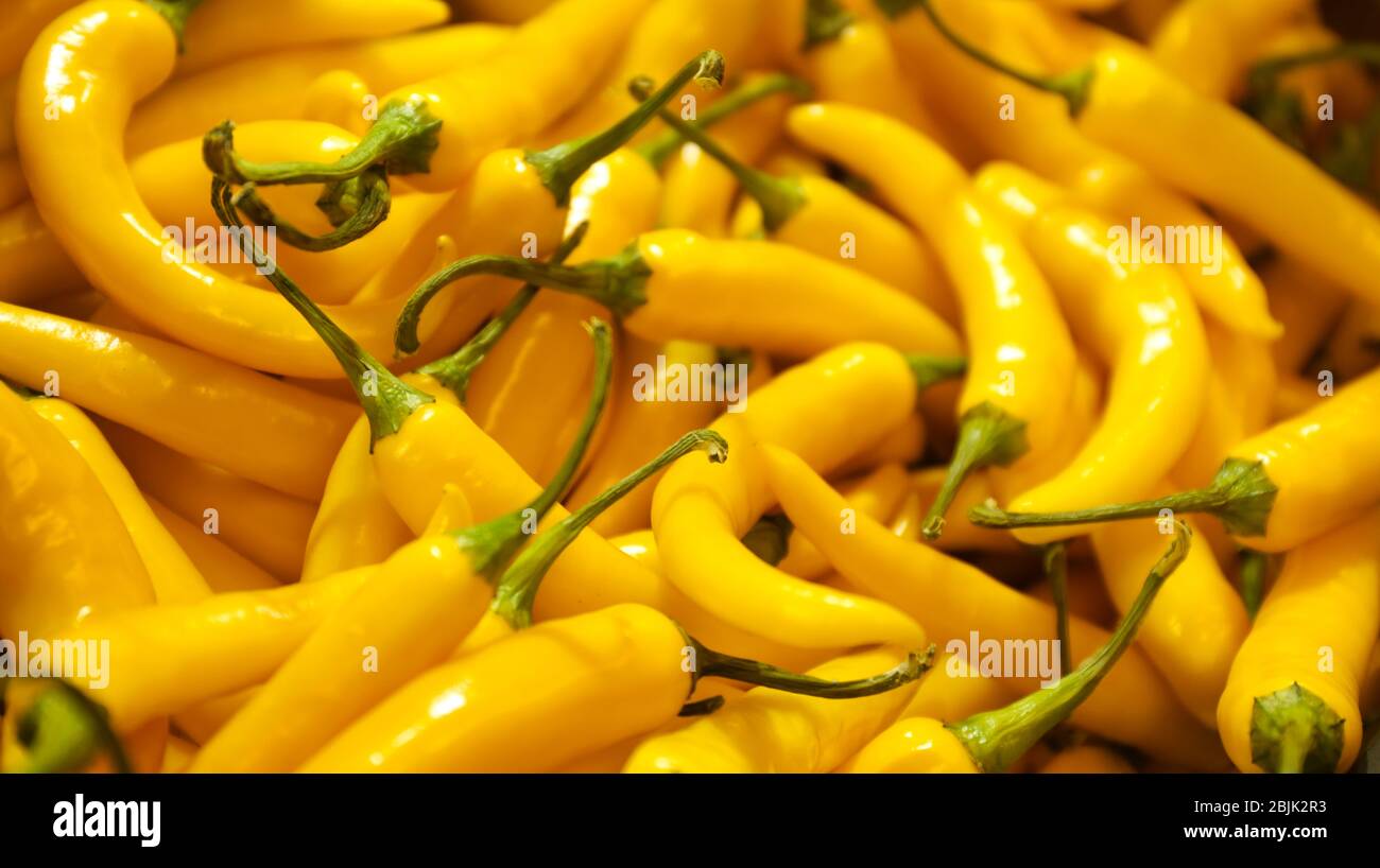 Chili wallpaper design hi-res stock photography and images - Alamy