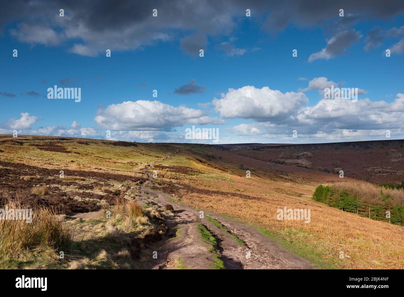 Burbage valley,Burbage moor,Peak district national park,Derbyshire ...