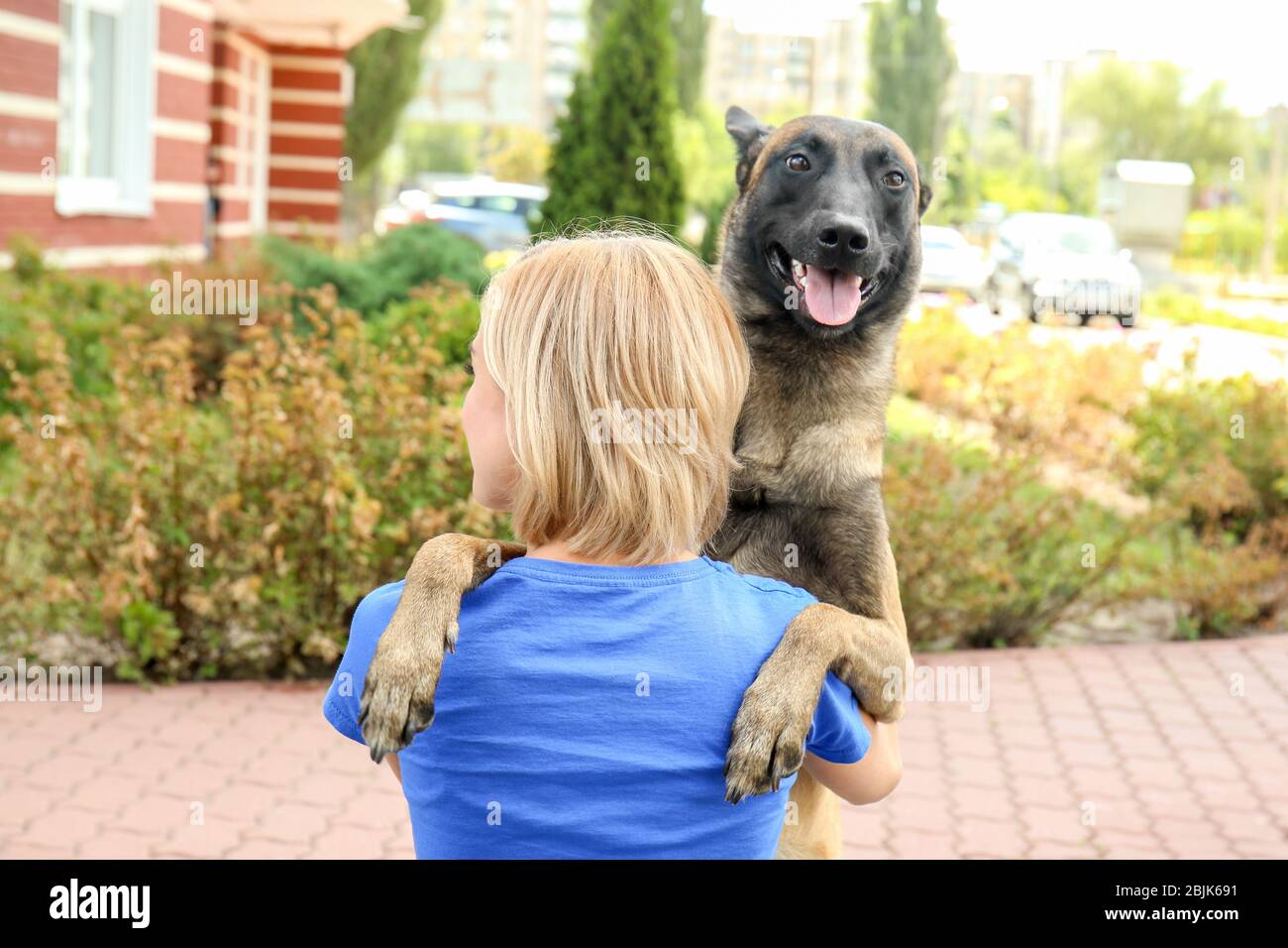 Female volunteer with homeless dog outdoors. Concept of volunteering ...