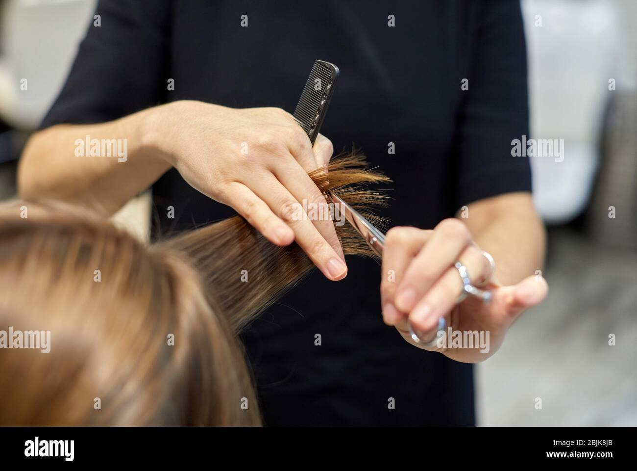 Cutting woman hair with scissors hi-res stock photography and images ...