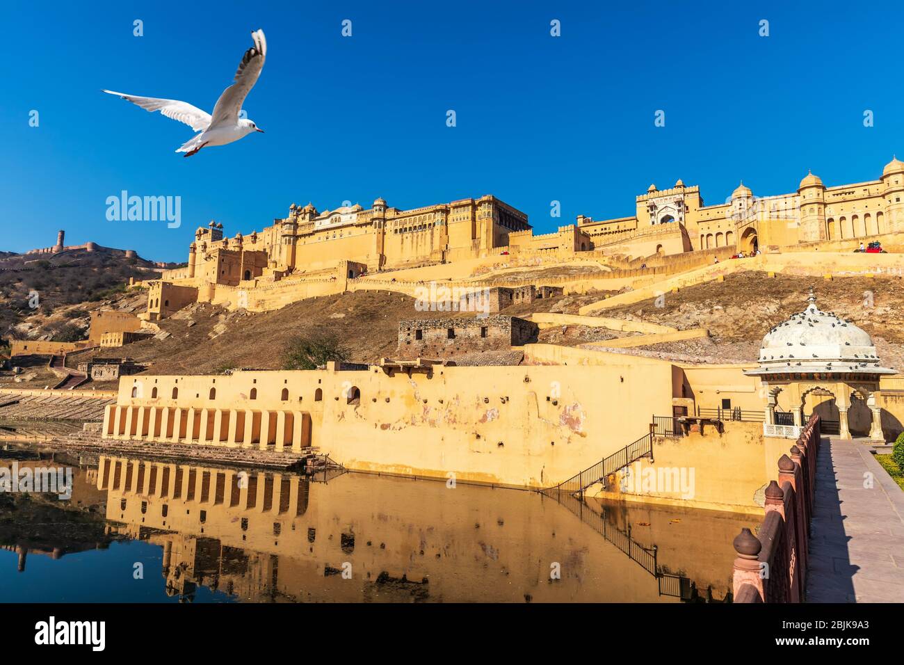 Aerial view amber fort jaipur hi-res stock photography and images - Alamy