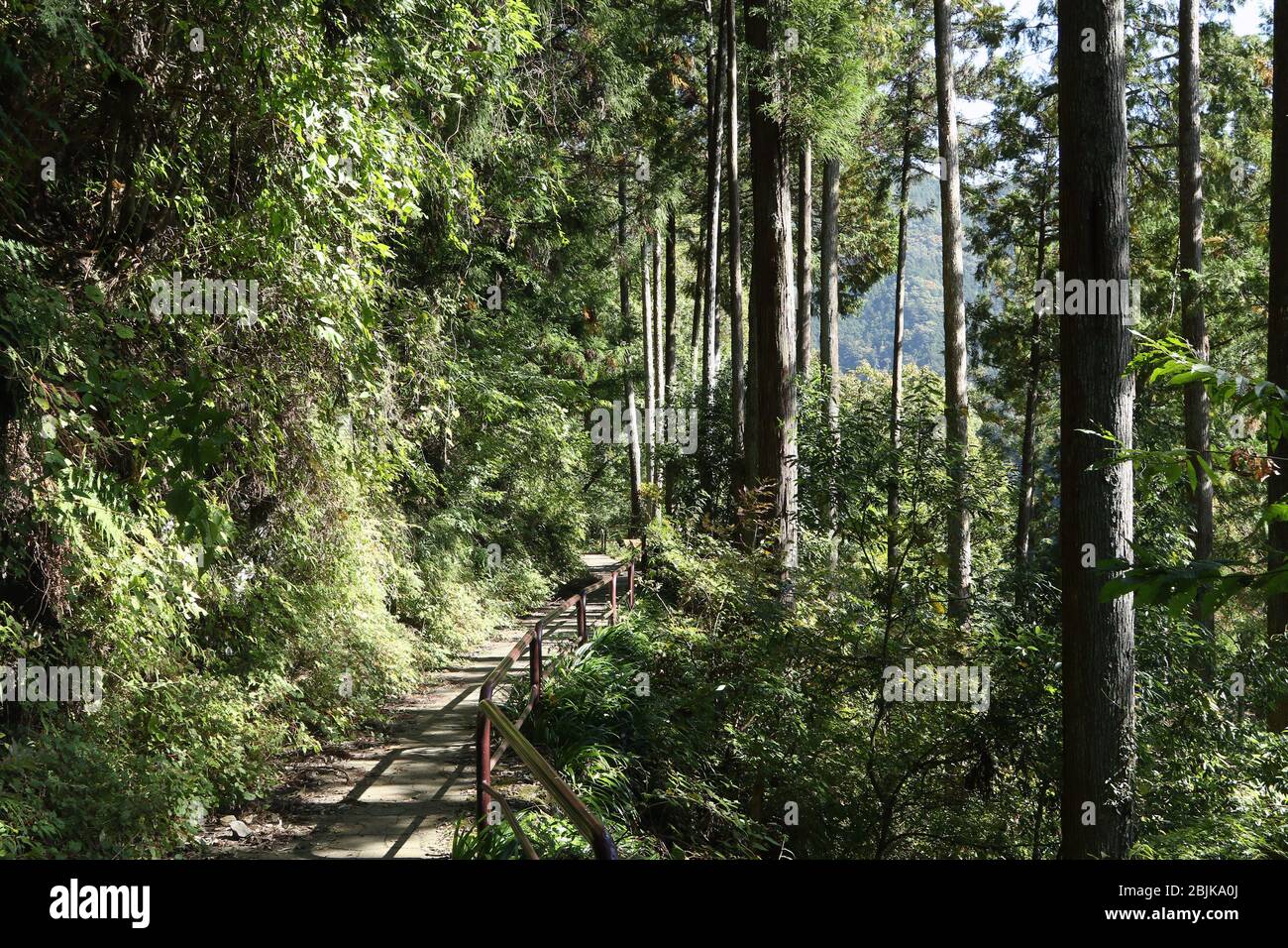 Hiking trail on Okutama Mukashi Michi Hike, Ishikawa prefecture, Tokyo ...