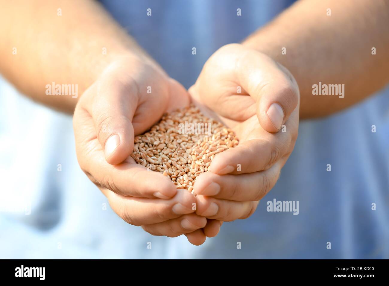 Man harvesting grains hi-res stock photography and images - Alamy