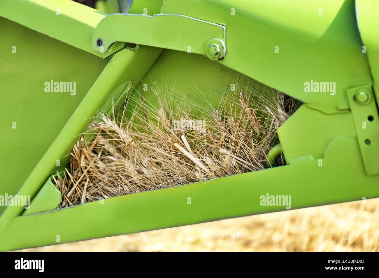 Closeup combine harvesting wheat hi-res stock photography and images ...