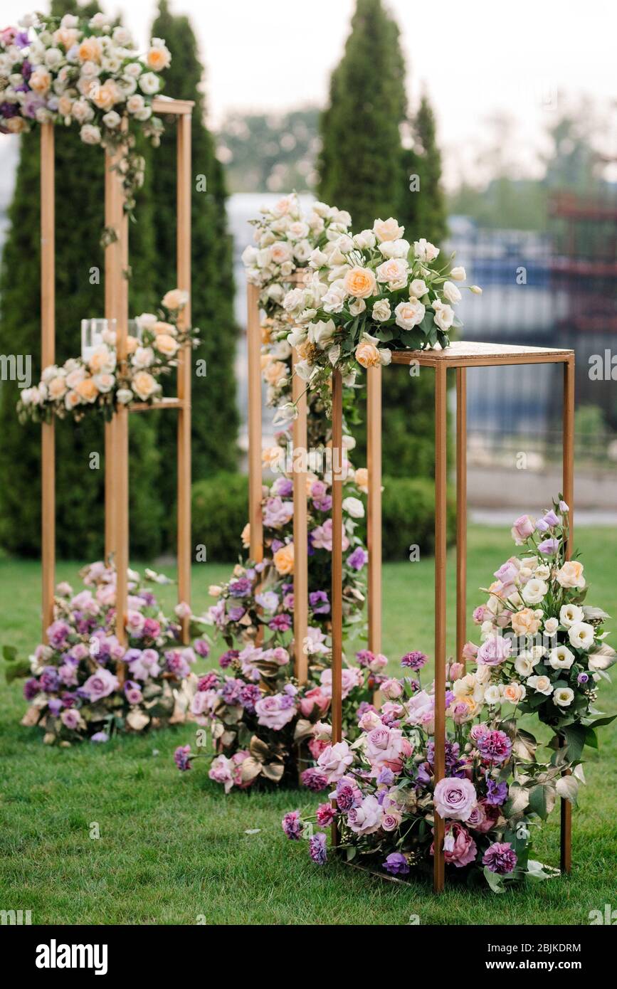 Emerald green pine hi-res stock photography and images - Alamy