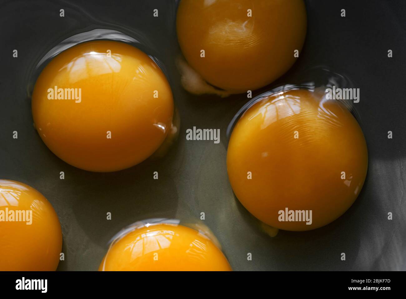 Egg yolks on a gray background. Sun rays passing through the window are ...