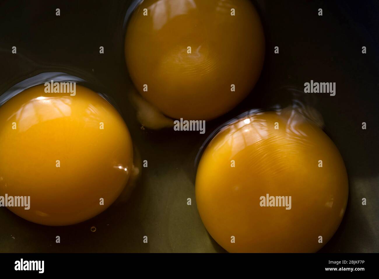 Egg yolks on a gray background. Sun rays passing through the window are ...