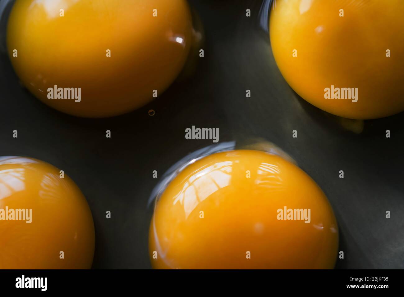 Egg yolks on a gray background. Sun rays passing through the window are ...