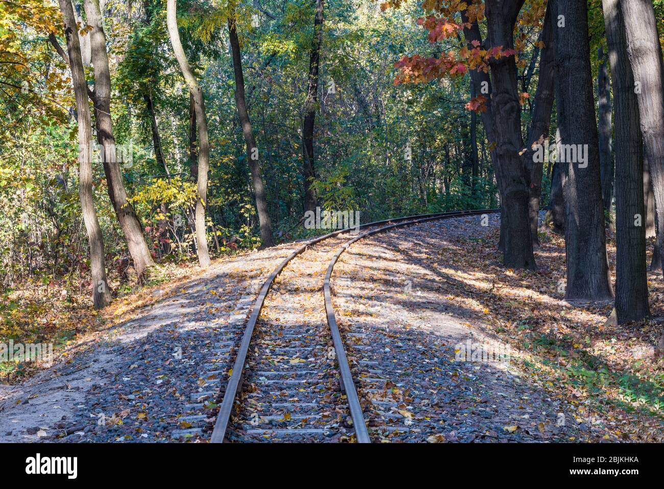 Transport forest hi-res stock photography and images - Alamy