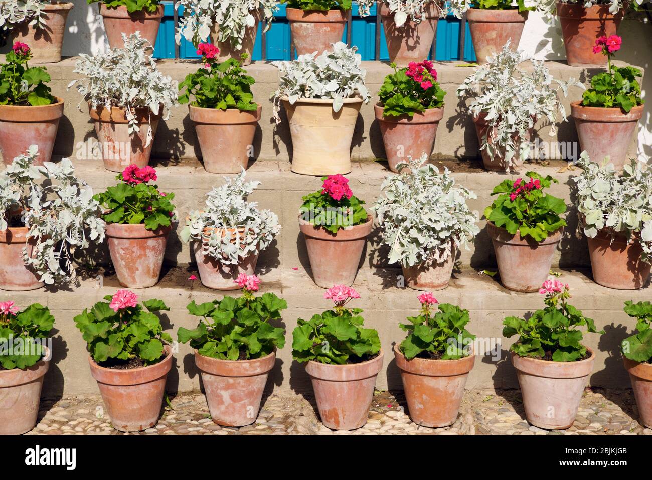 Cordoba Botanical Garden High Resolution Stock Photography and Images ...