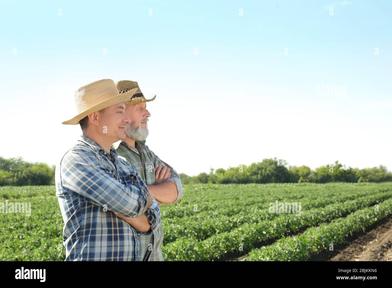 Two farmers standing in field with green plants Stock Photo - Alamy