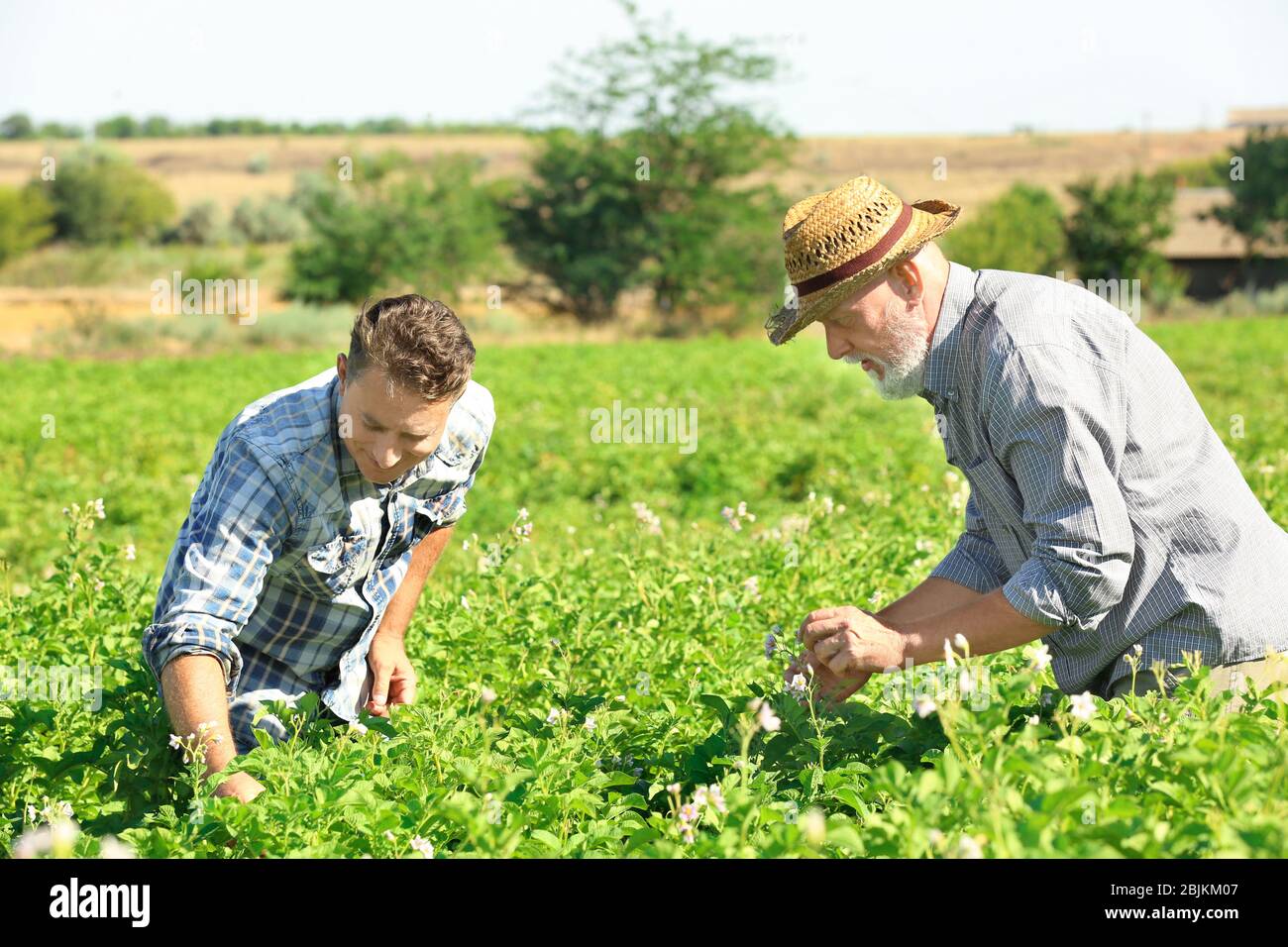Two farmers working hi-res stock photography and images - Alamy