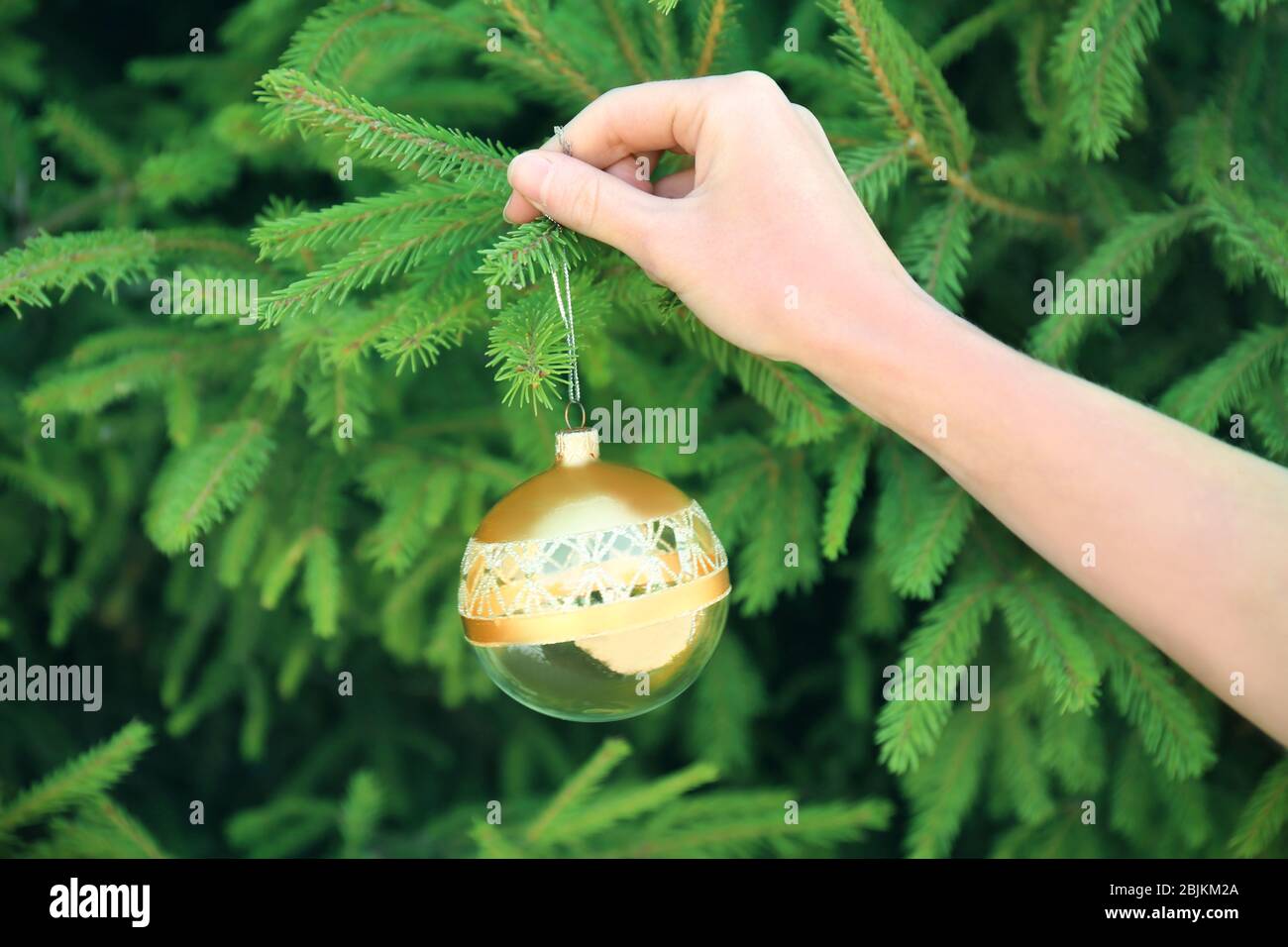 Female hand hanging Christmas ball on fir tree branch Stock Photo - Alamy