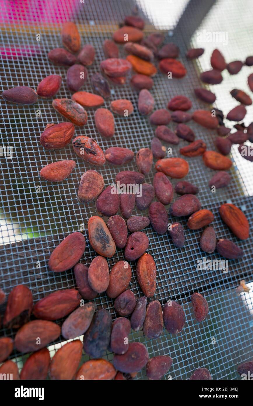 El planet hi-res stock photography and images - Alamy