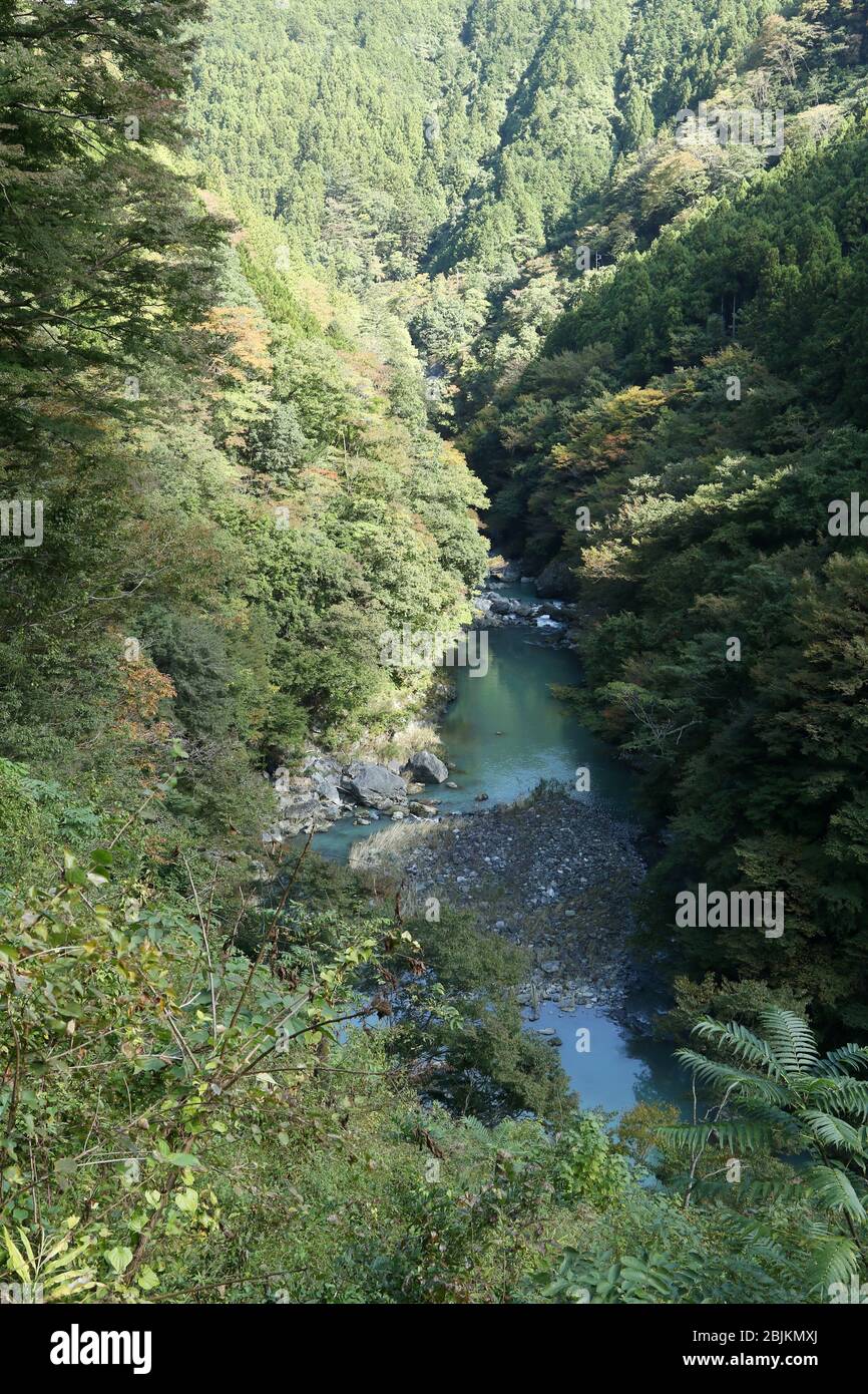 Okutama hiking trail hi-res stock photography and images - Alamy