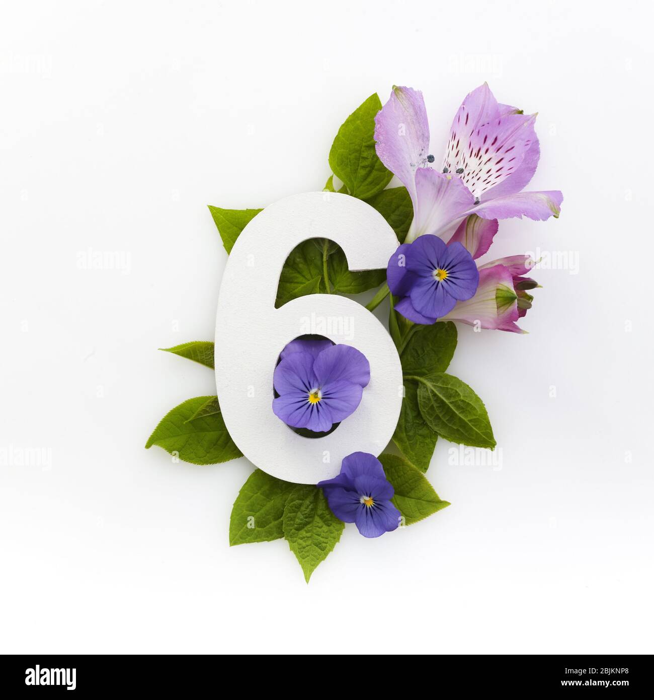 Number five flowers hi-res stock photography and images - Alamy