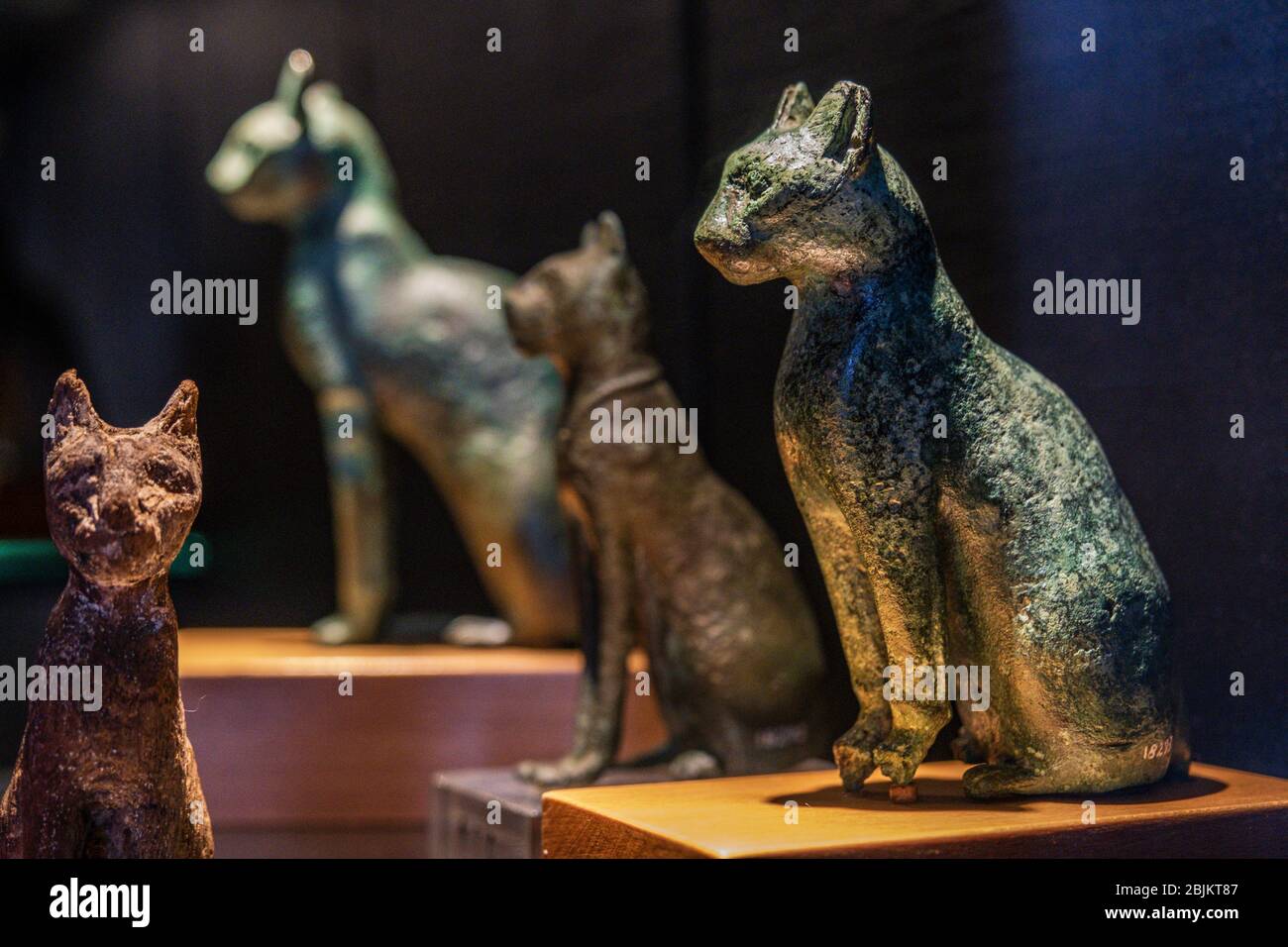 Cat mummy hi-res stock photography and images - Alamy