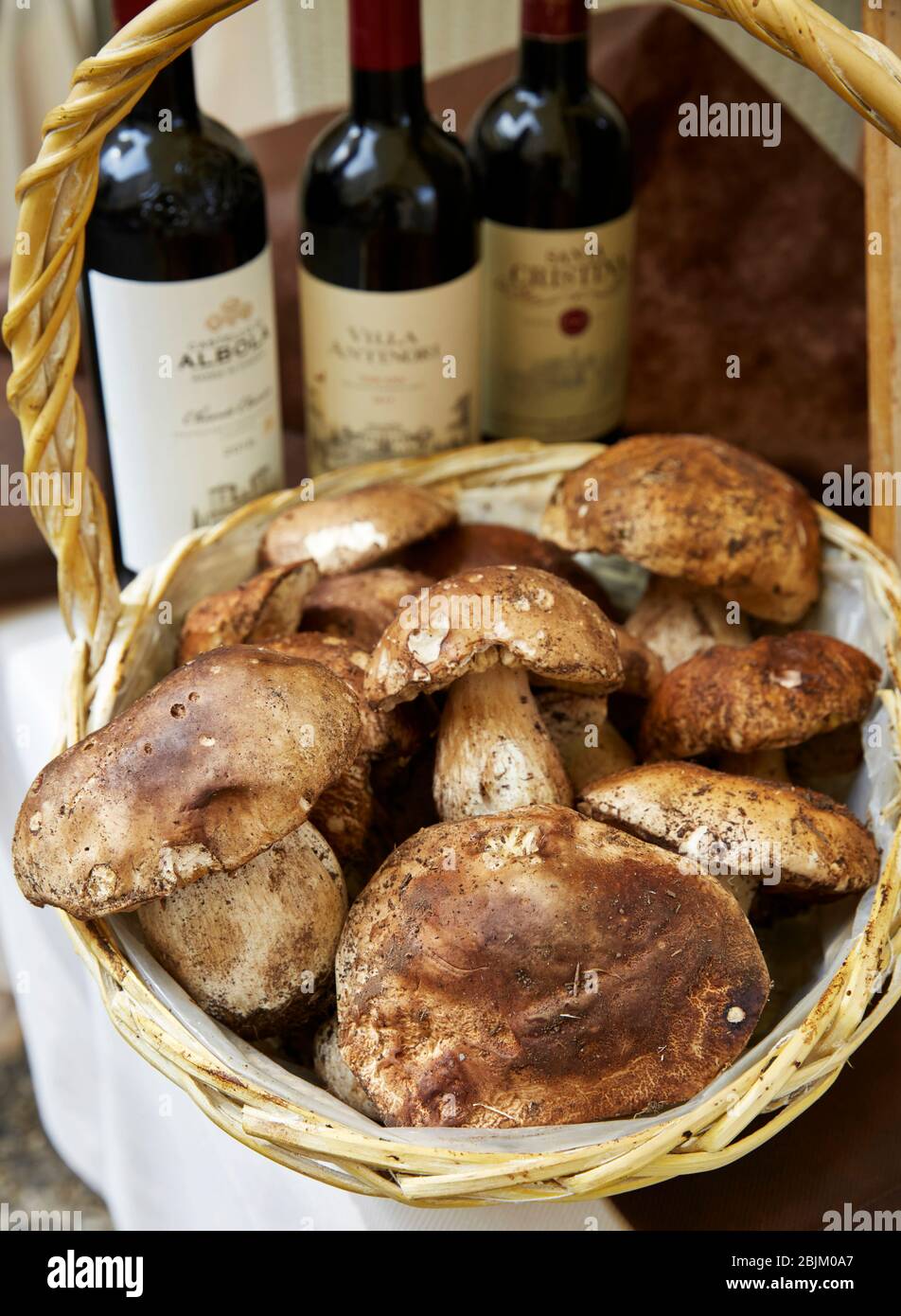 Basket full boletus edulis hi-res stock photography and images - Alamy