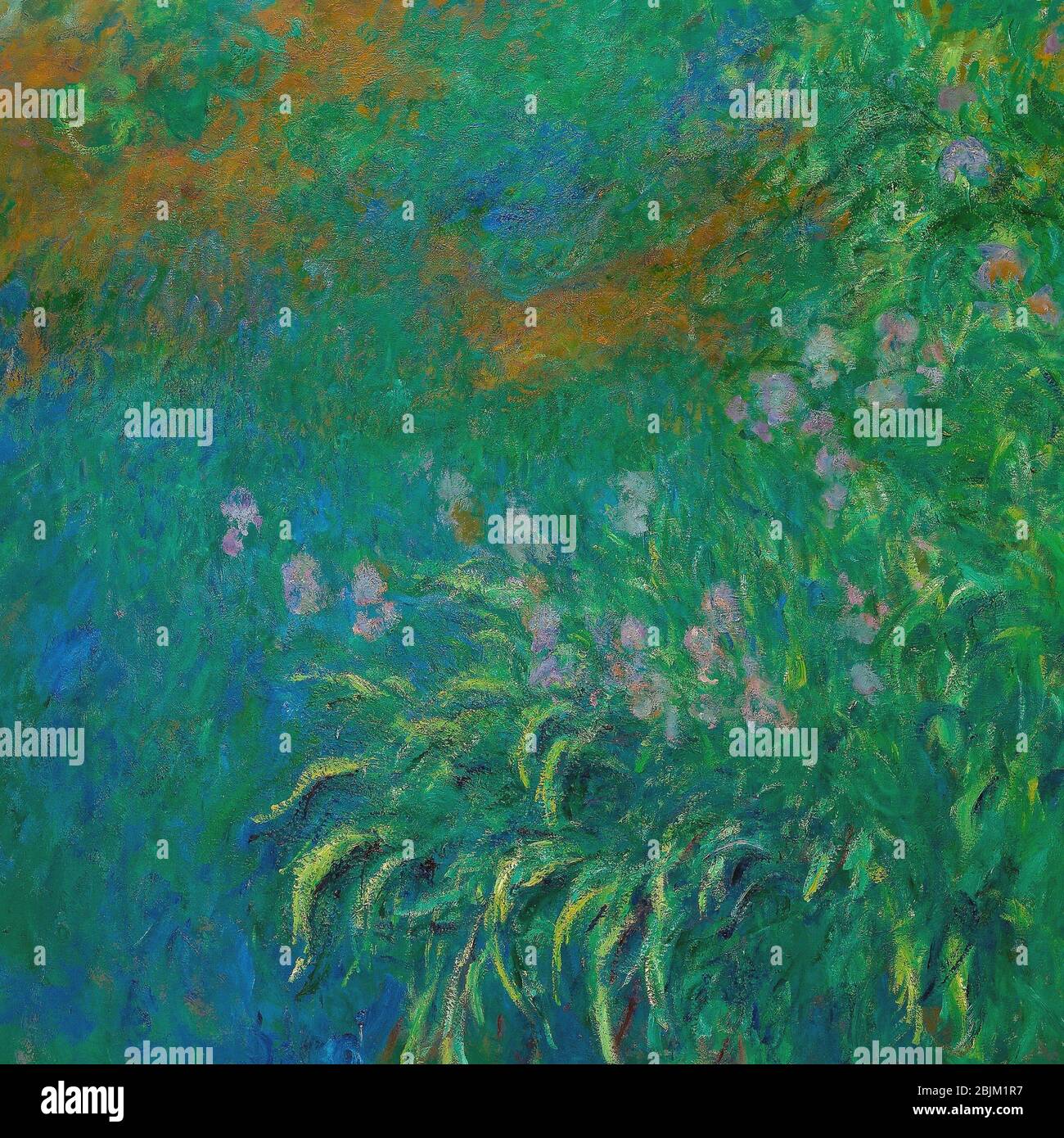 Iris claude monet hi-res stock photography and images - Alamy