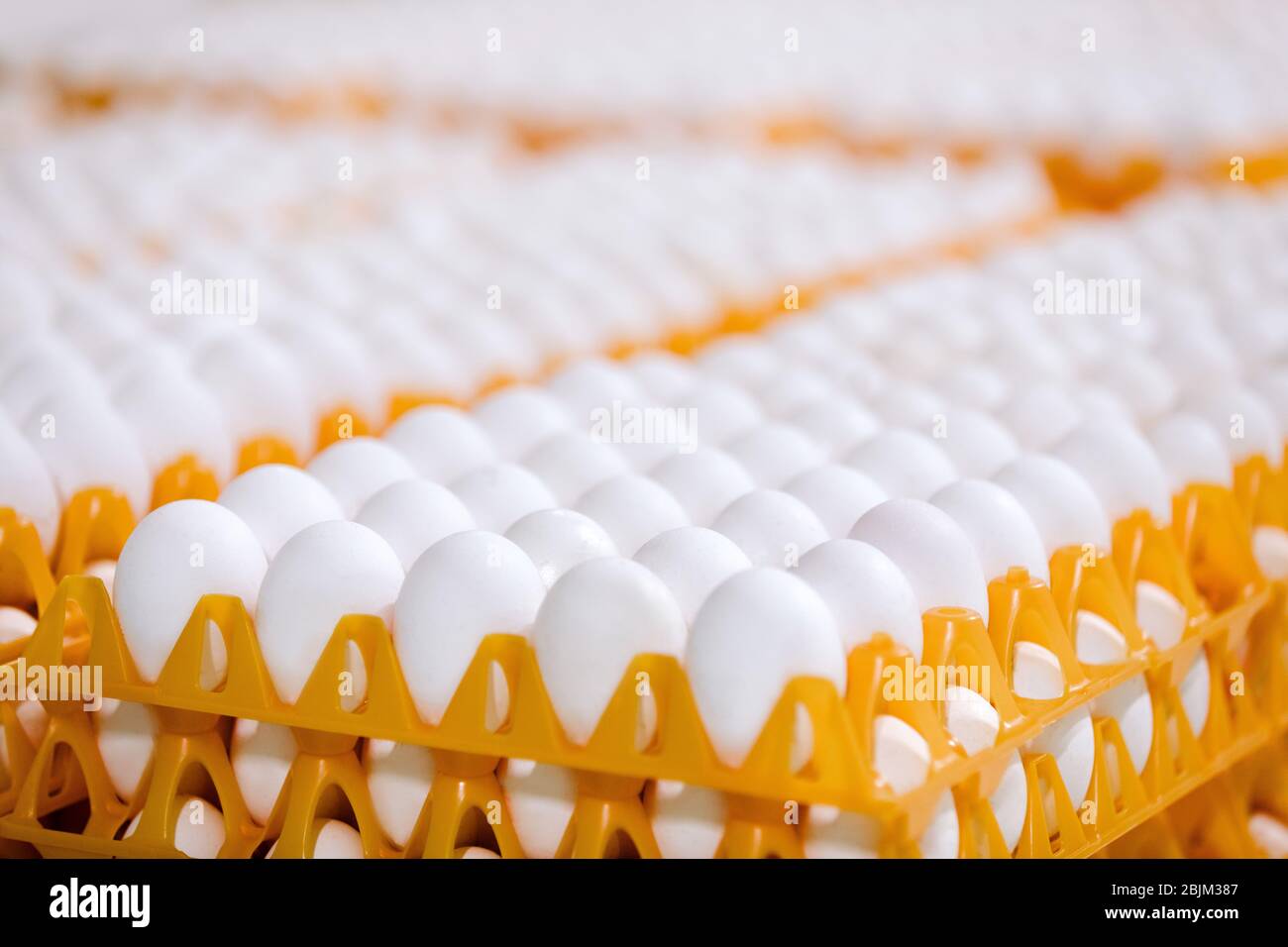 Egg sorting factory on hi-res stock photography and images - Alamy