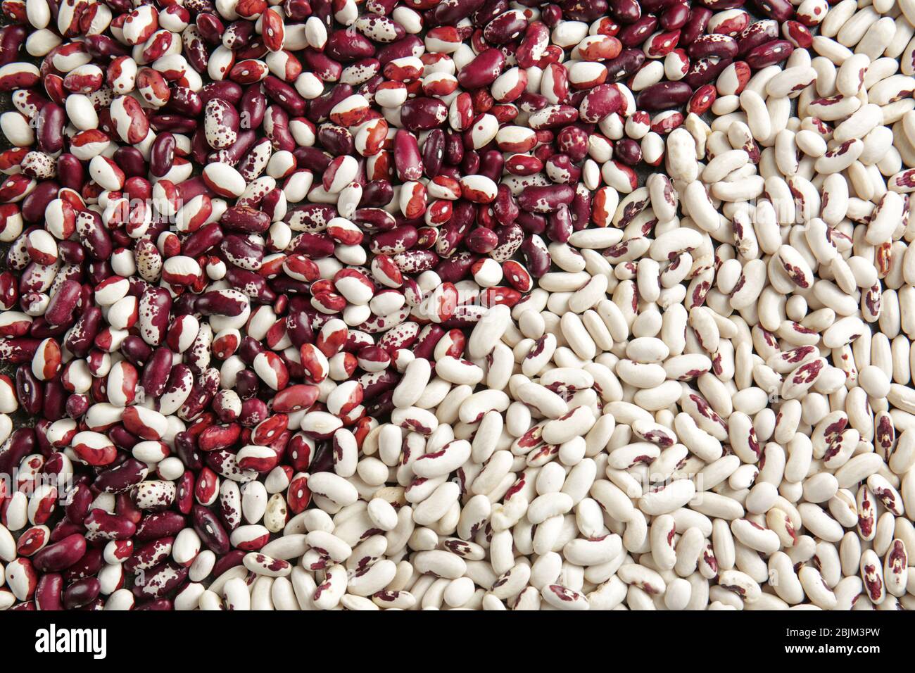 Different types of haricot beans, closeup Stock Photo - Alamy