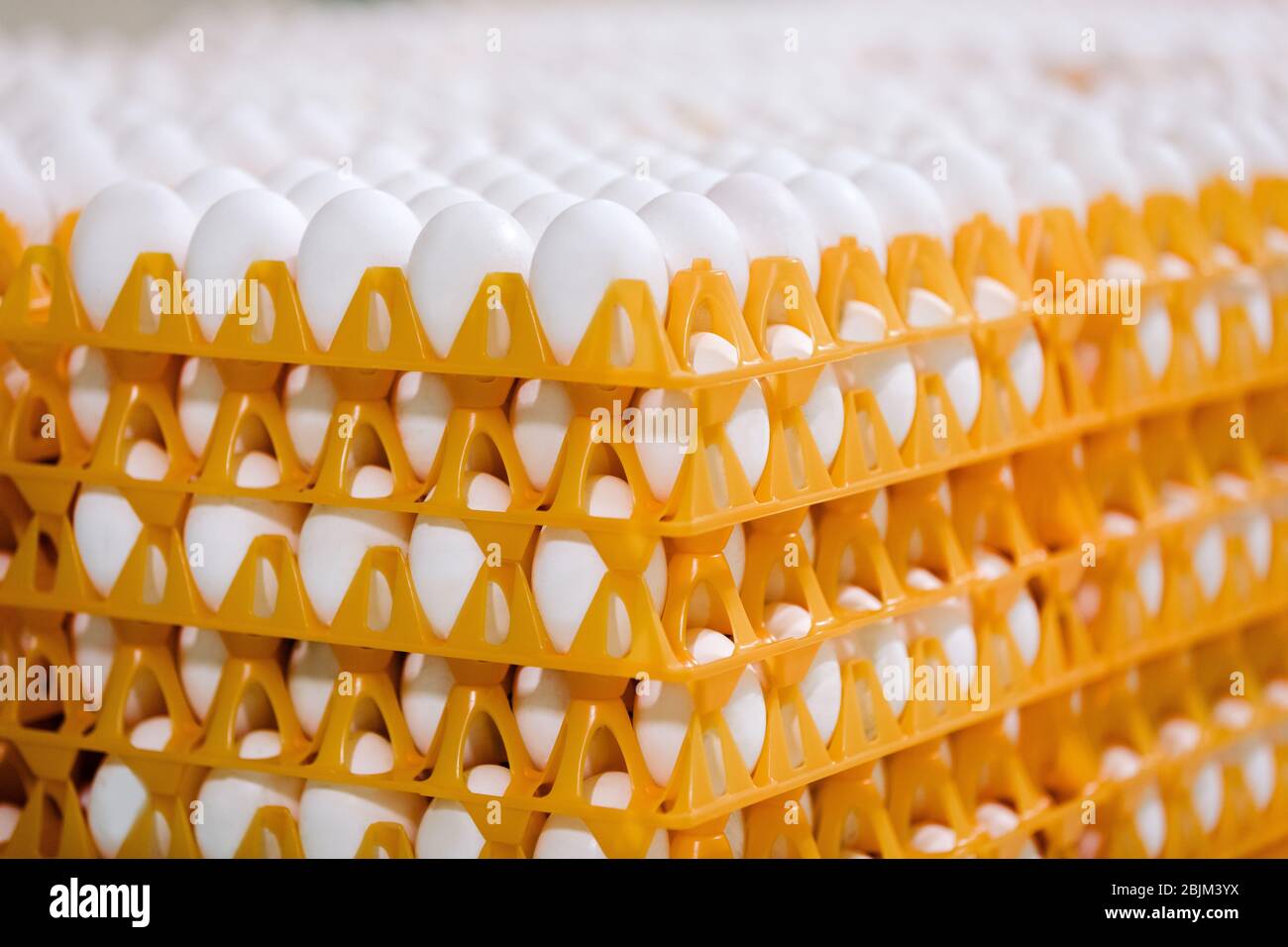 Egg sorting factory on hi-res stock photography and images - Alamy